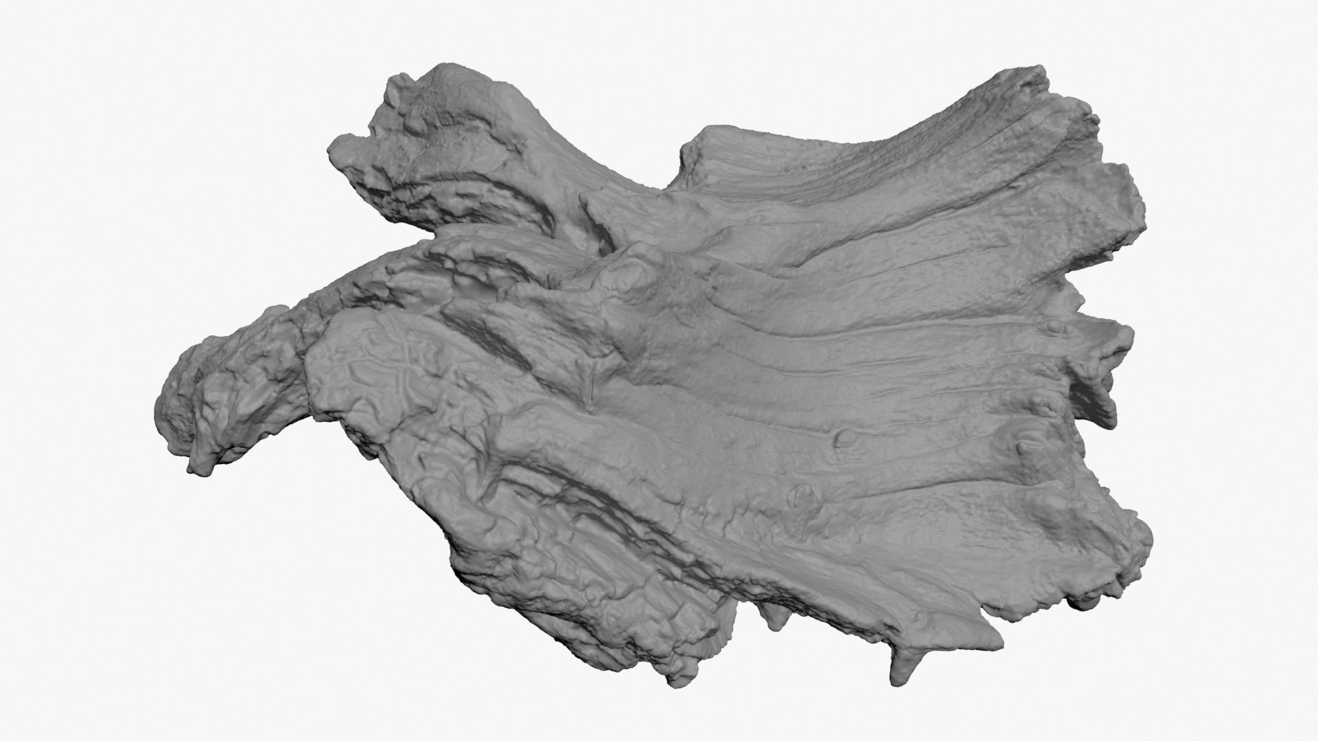 Broken Tree Trunk 03 3D Print 3D Model - TurboSquid 2274932