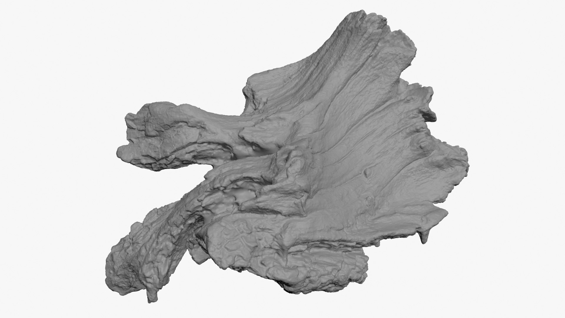 Broken Tree Trunk 03 3D Print 3D Model - TurboSquid 2274932