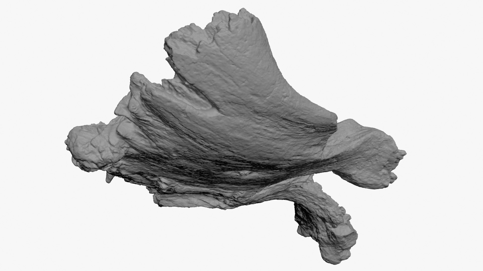 Broken Tree Trunk 03 3D Print 3D Model - TurboSquid 2274932