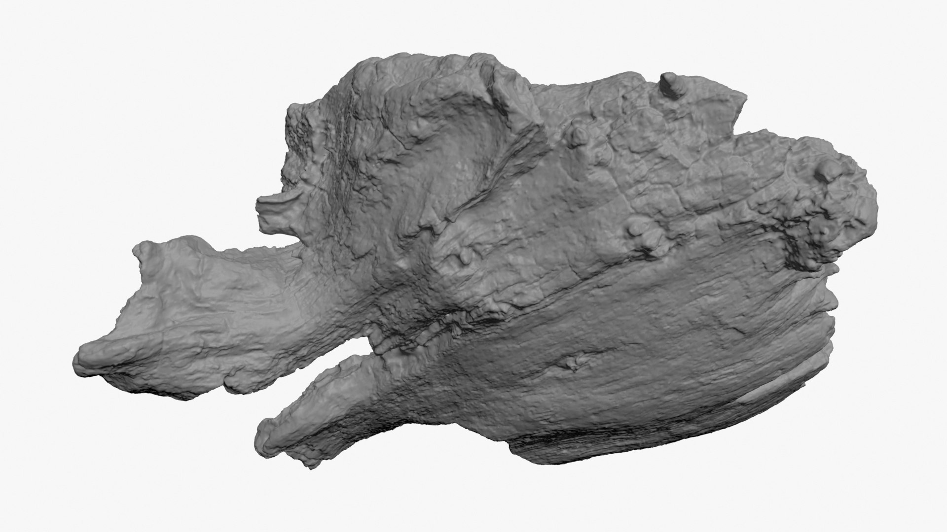 Broken Tree Trunk 03 3D Print 3D Model - TurboSquid 2274932