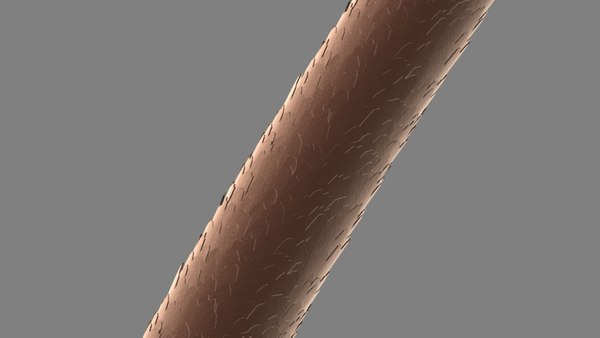 3ds max section human hair