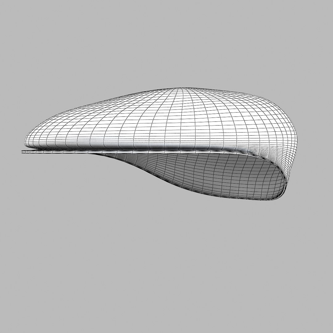 3ds beret