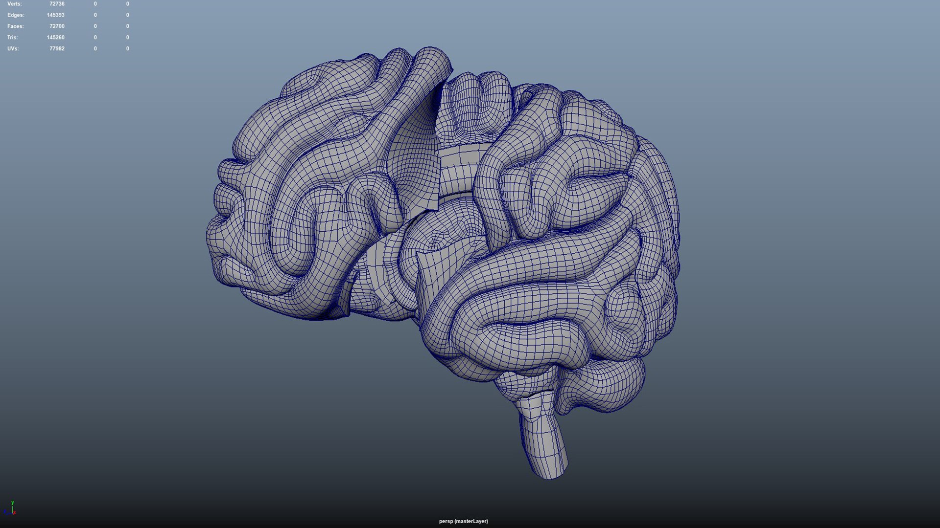 3D Model Human Brain Lobes - TurboSquid 2190124
