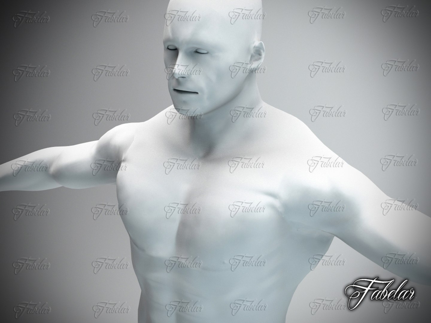Male Human Body 3d Model