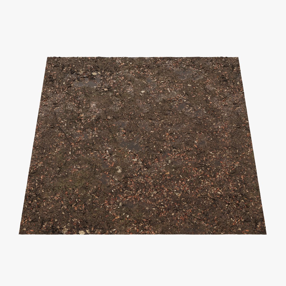 Wet Ground 3D Model - TurboSquid 2133910