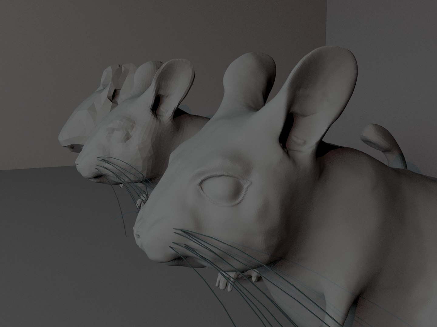 3D Chinchilla Rodent Mammals Model - TurboSquid 1500504