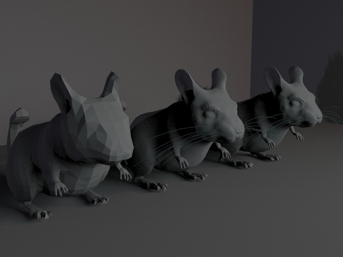 3D Chinchilla Rodent Mammals Model - TurboSquid 1500504
