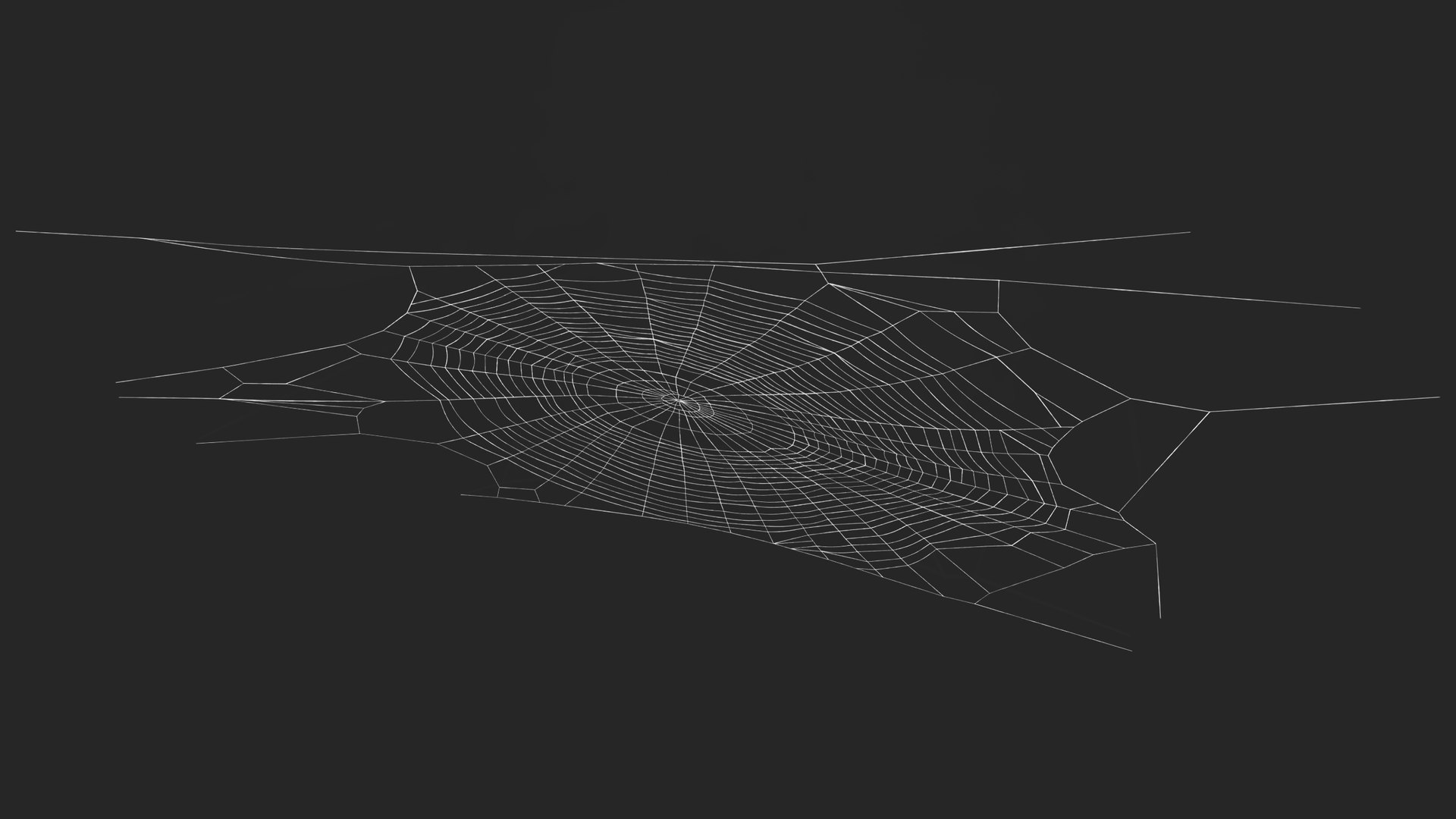 3D Spider Webs Collection 2 Model - TurboSquid 2245328