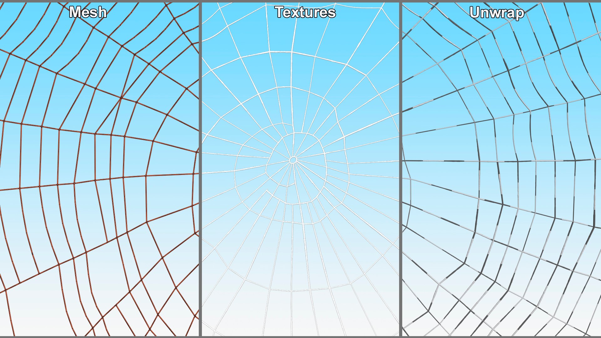 3D Spider Webs Collection 2 Model - TurboSquid 2245328