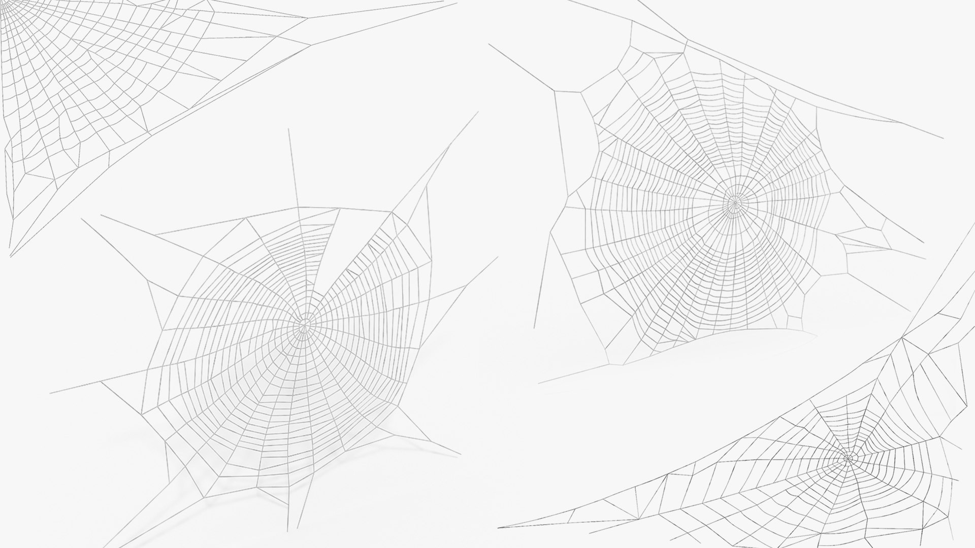 3D Spider Webs Collection 2 Model - TurboSquid 2245328