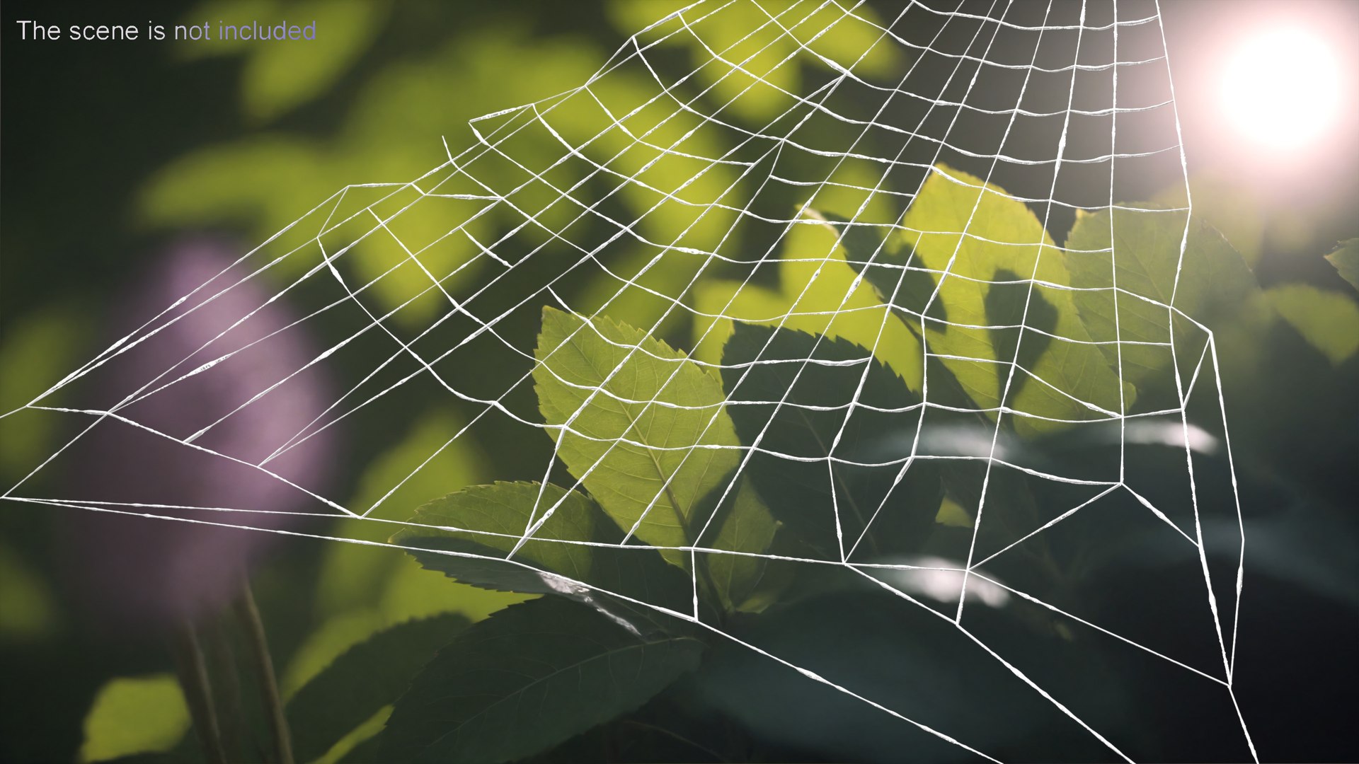 3D Spider Webs Collection 2 Model - TurboSquid 2245328