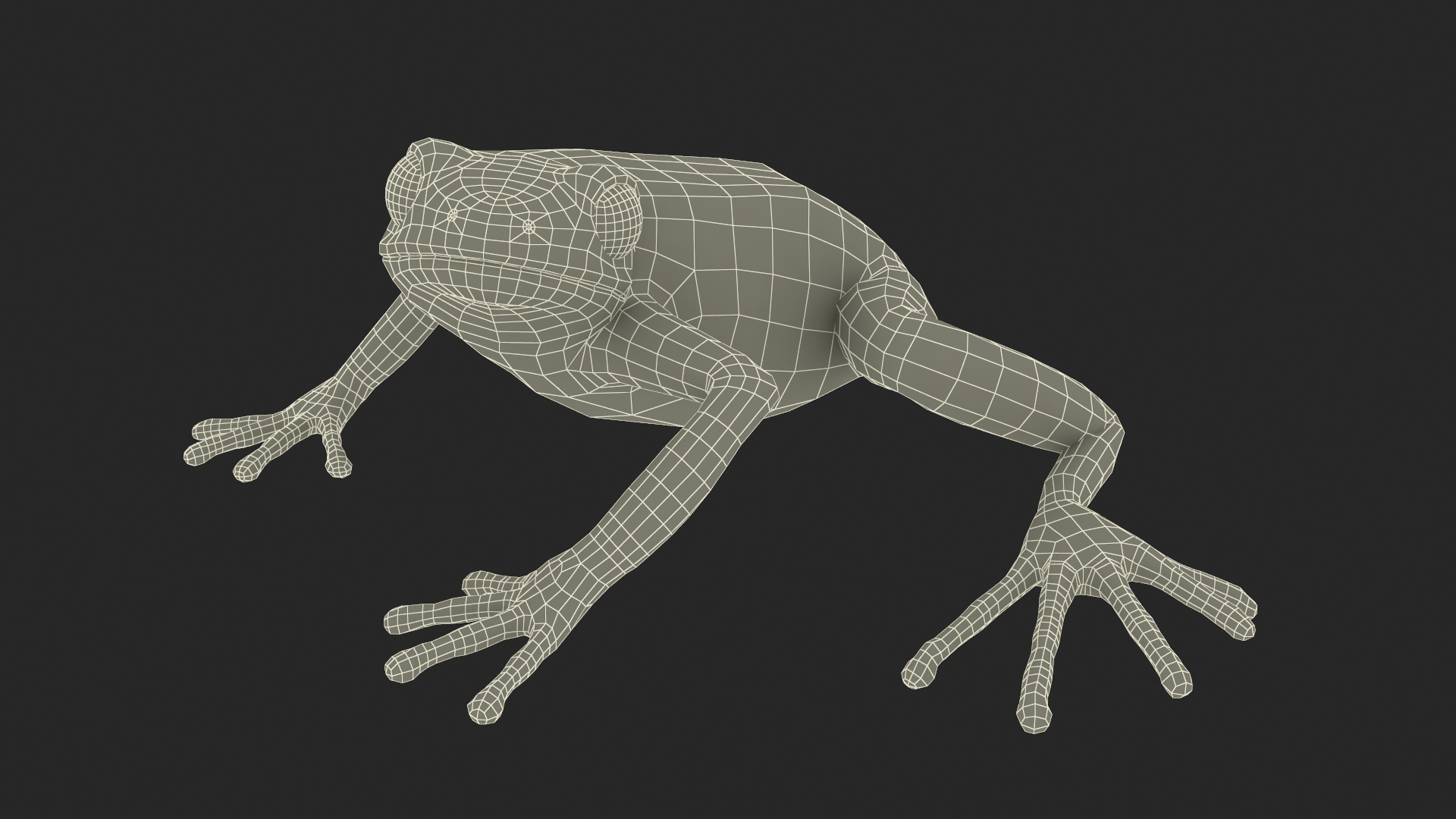 Realistic Tropical Mantella Frog Rigged 3D Model - TurboSquid 2315193