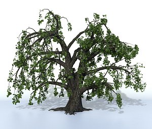 3D old oak unity model - TurboSquid 1347814