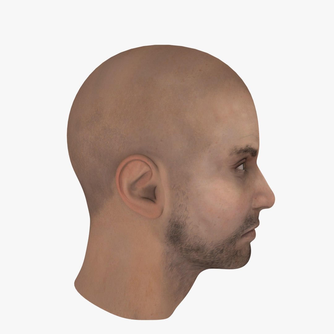 3d Male Head