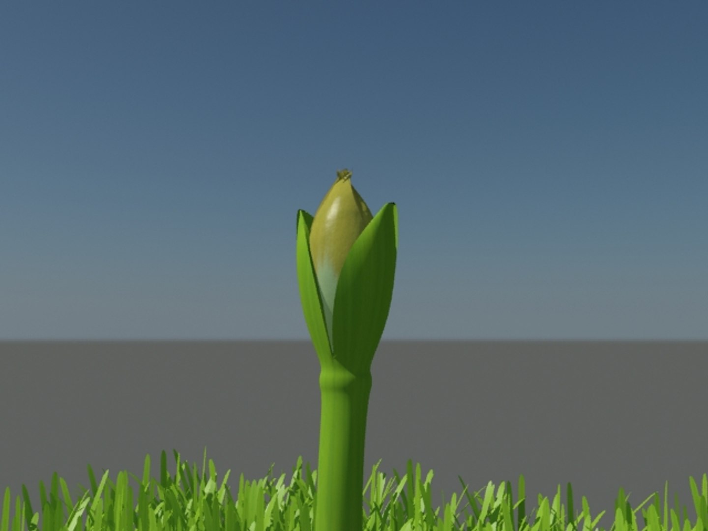 3d growing flower model
