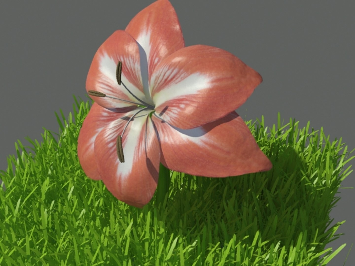3d growing flower model
