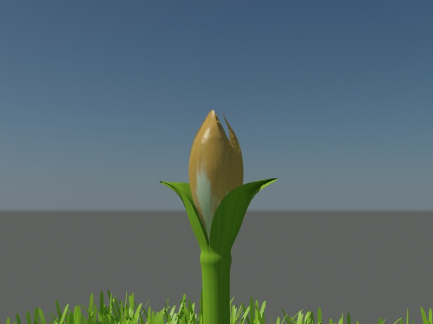 3d growing flower model