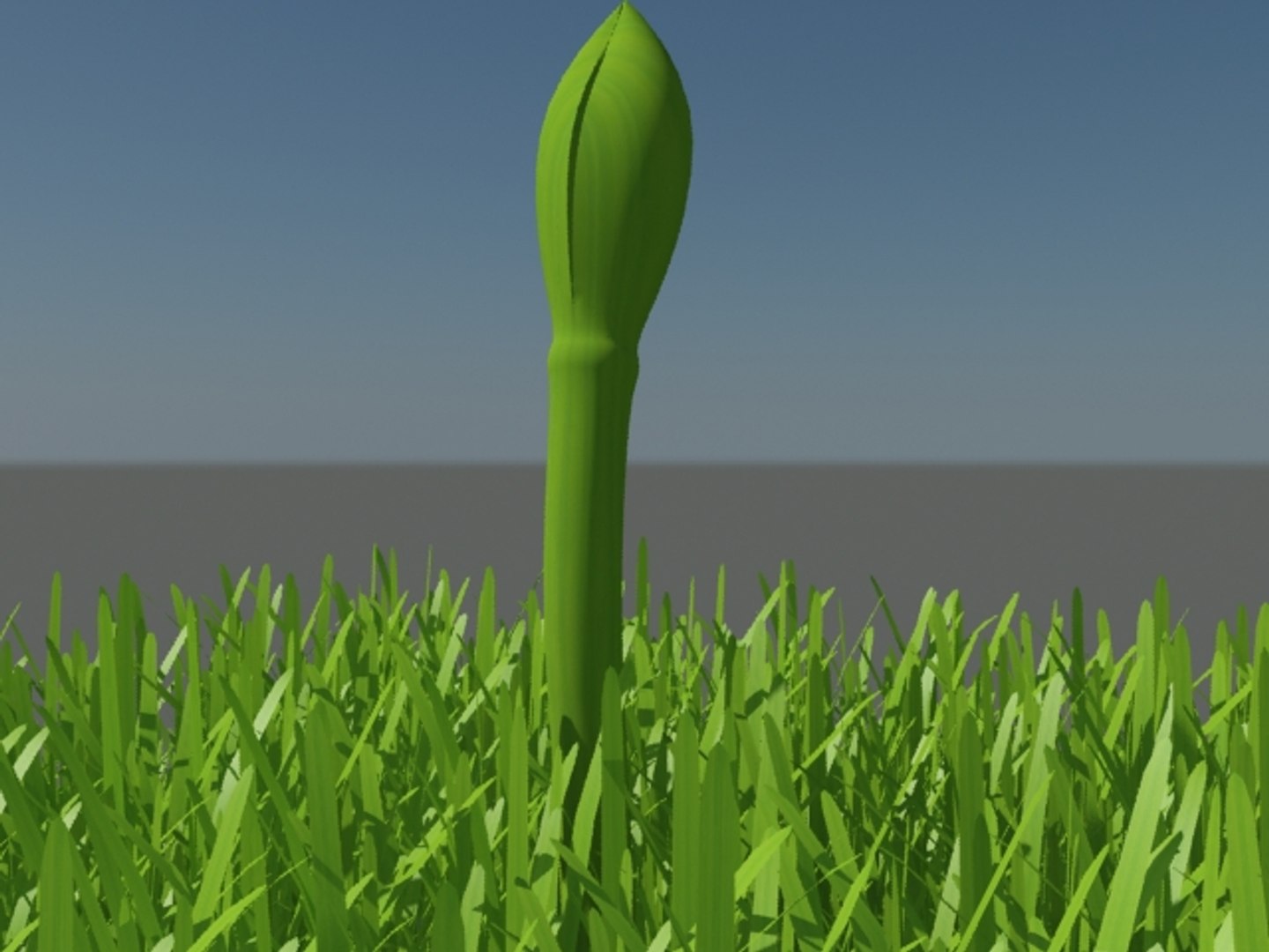 3d growing flower model