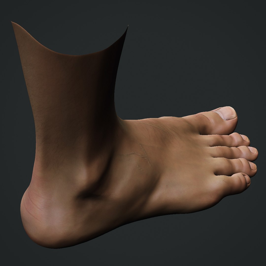3d Model Realistic Male Foot