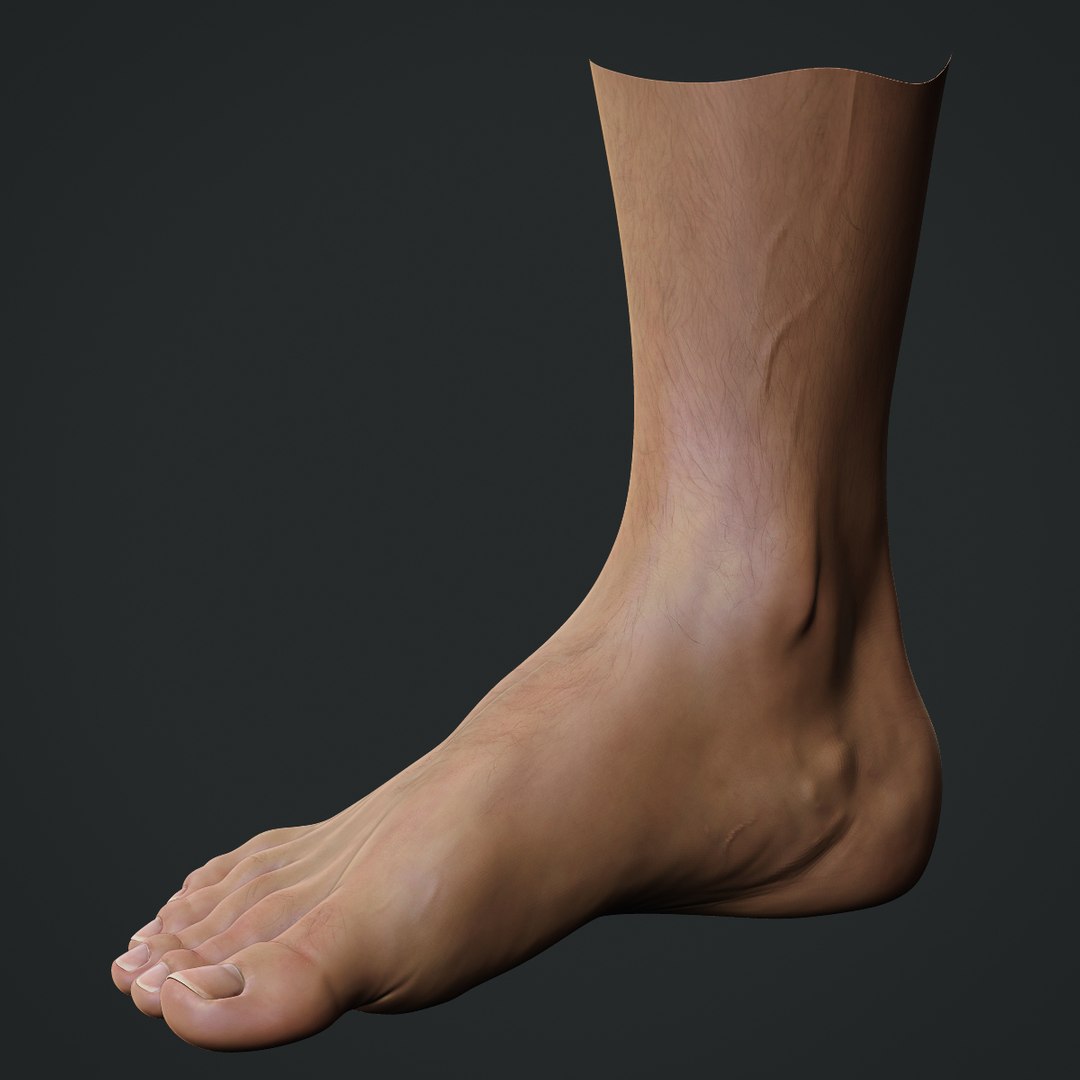 3d Model Realistic Male Foot
