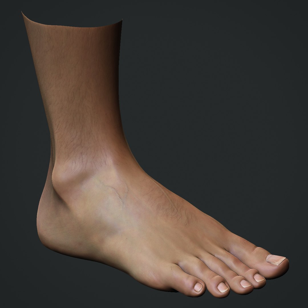 3d Model Realistic Male Foot