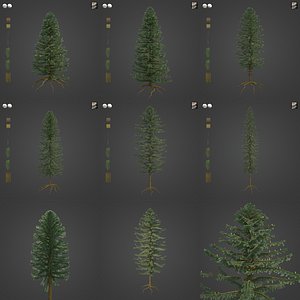 Fir Tree Blender Models for Download | TurboSquid
