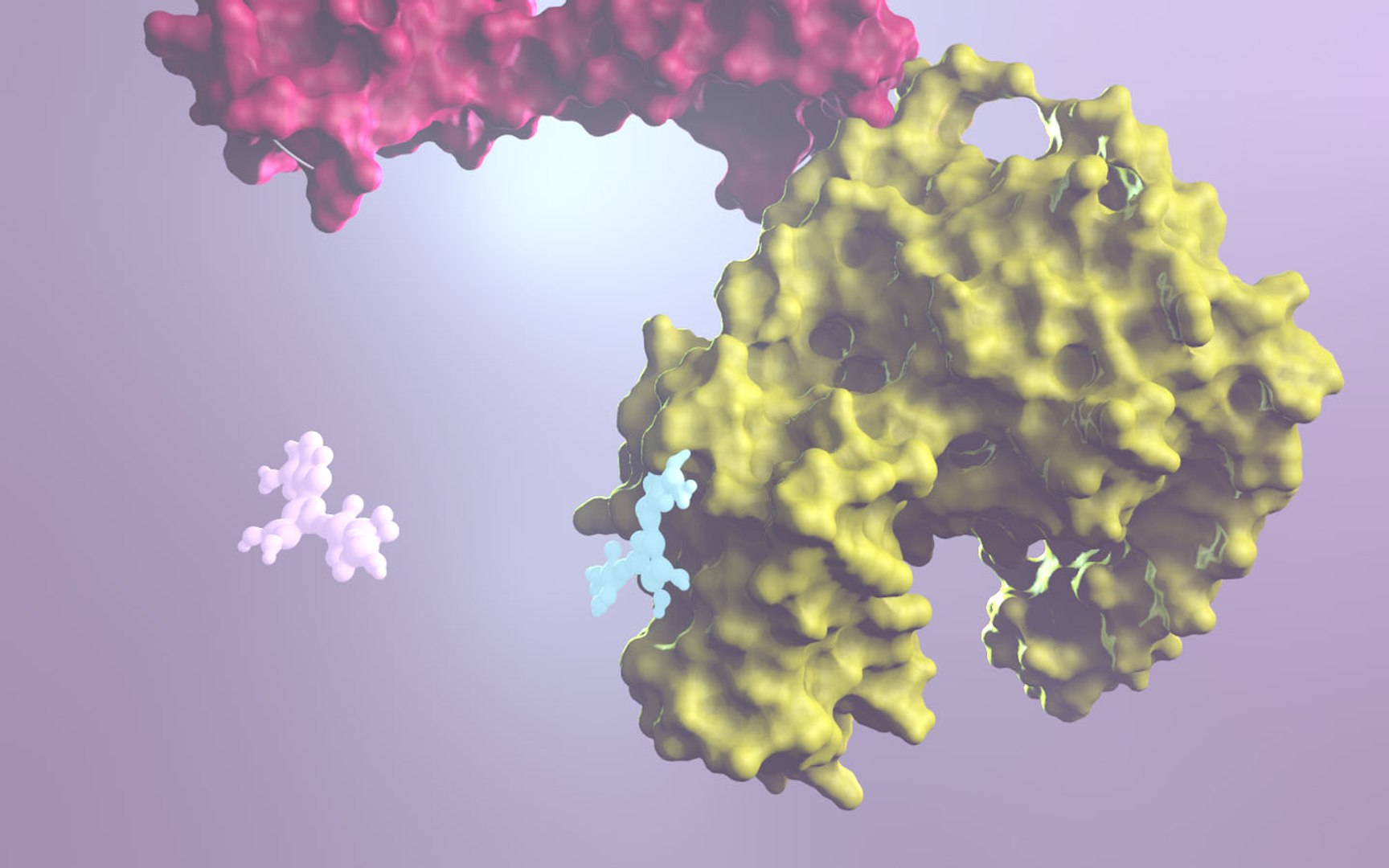 Free 3D model g protein - TurboSquid 1309660