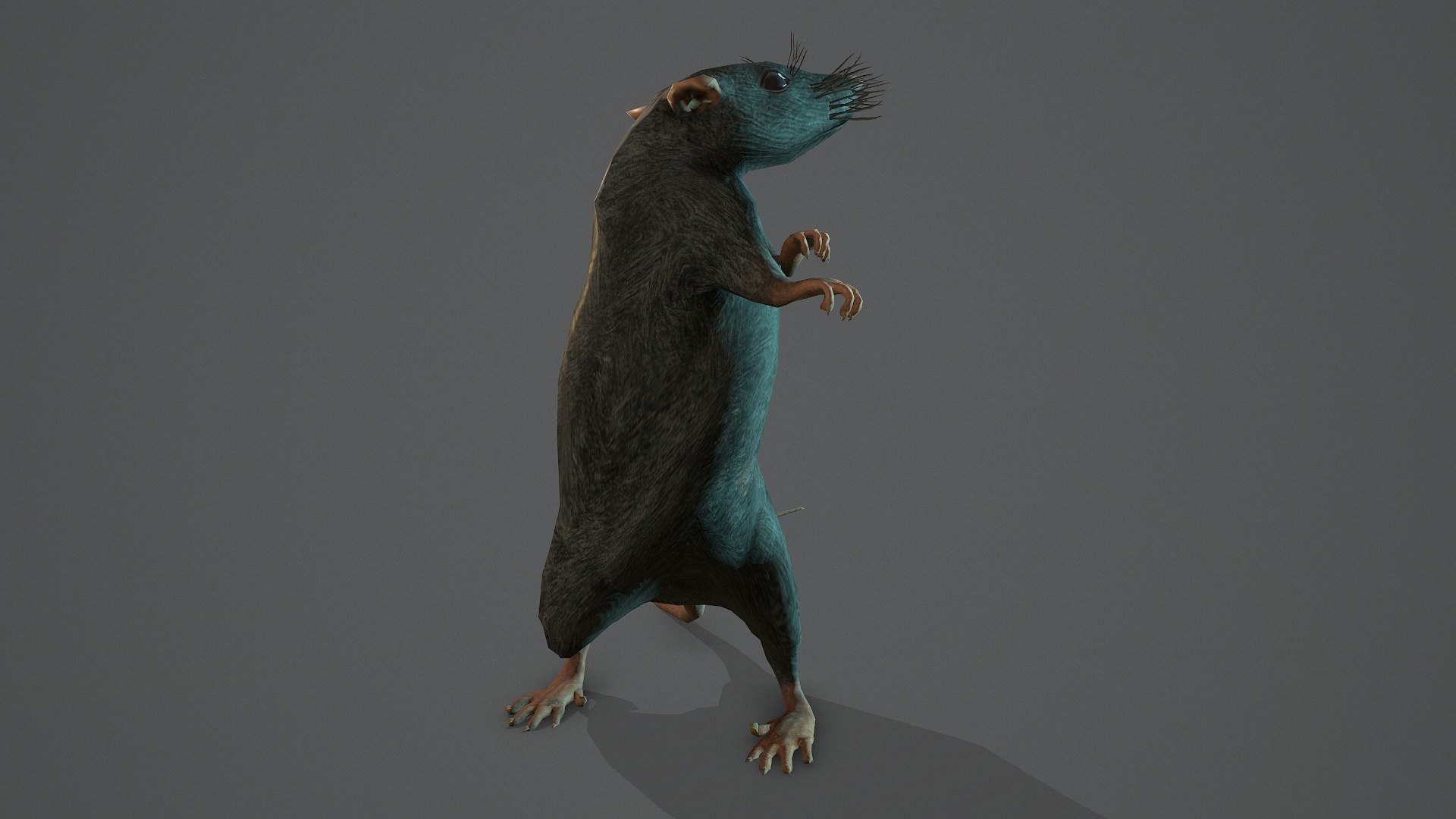3D Low-poly Animations Rat Model - TurboSquid 1712116