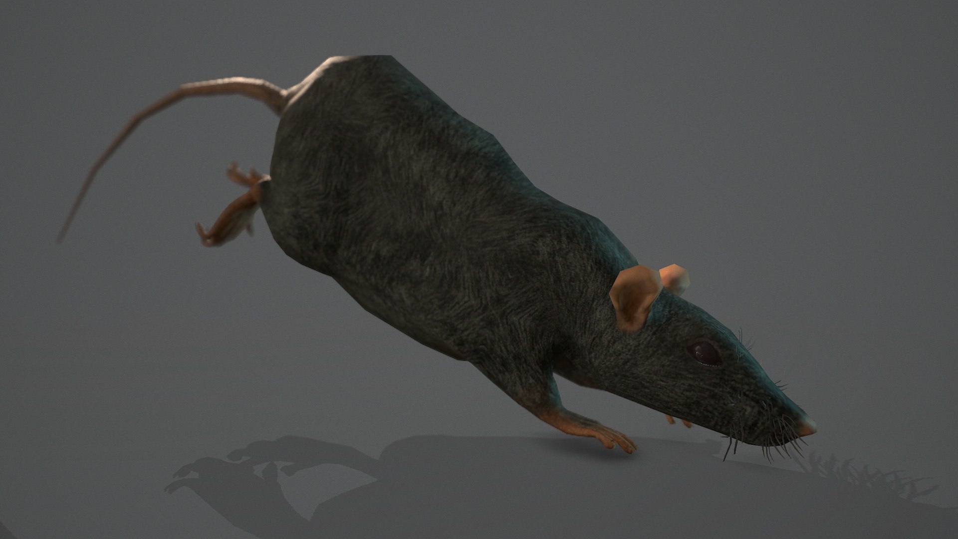 3D Low-poly Animations Rat Model - TurboSquid 1712116