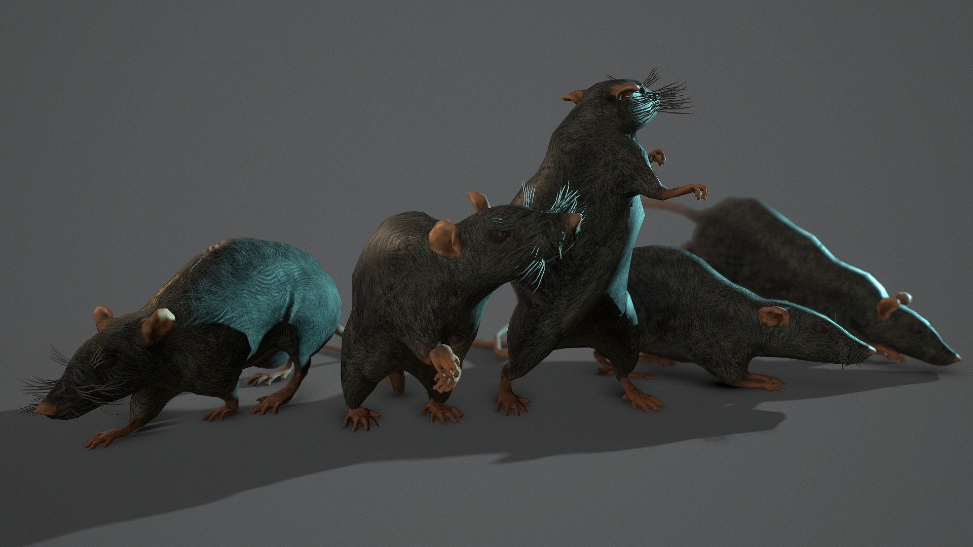 3D Low-poly Animations Rat Model - TurboSquid 1712116