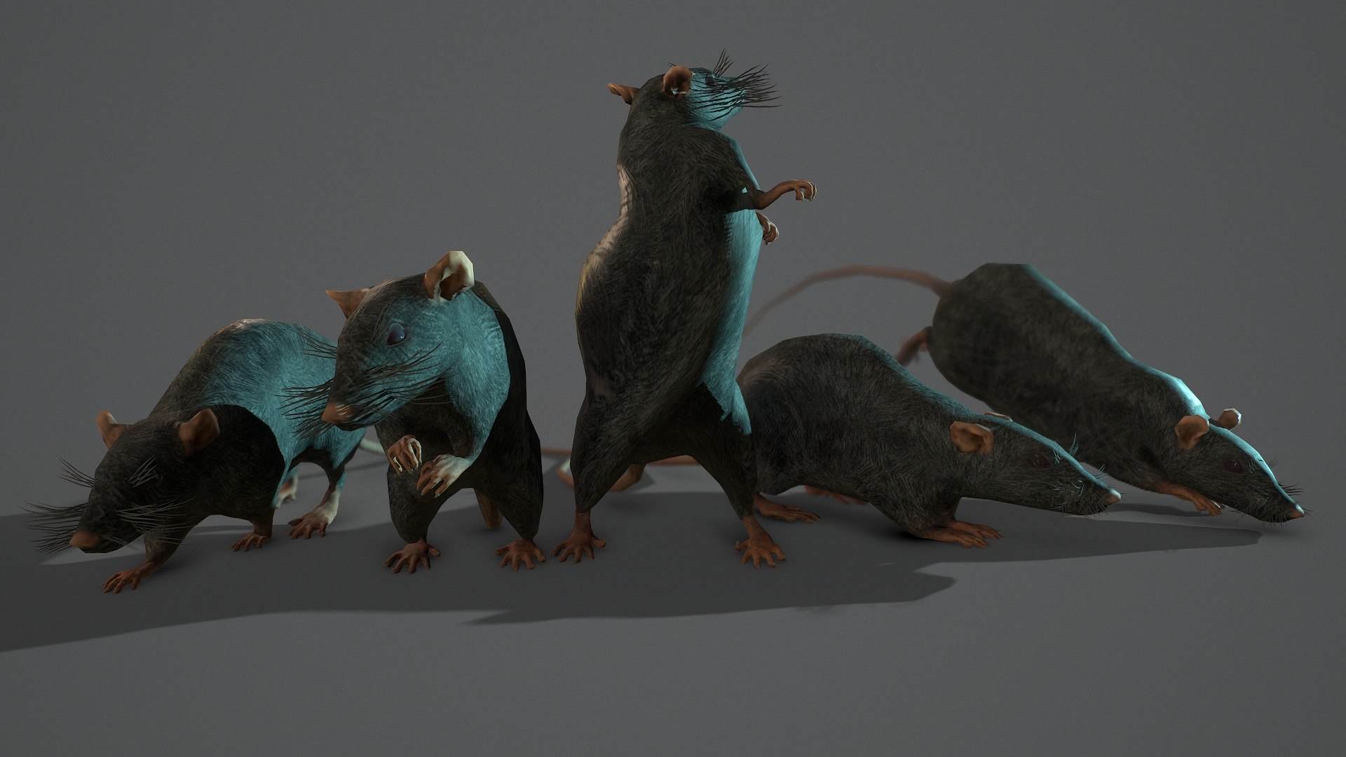 3D Low-poly Animations Rat Model - TurboSquid 1712116