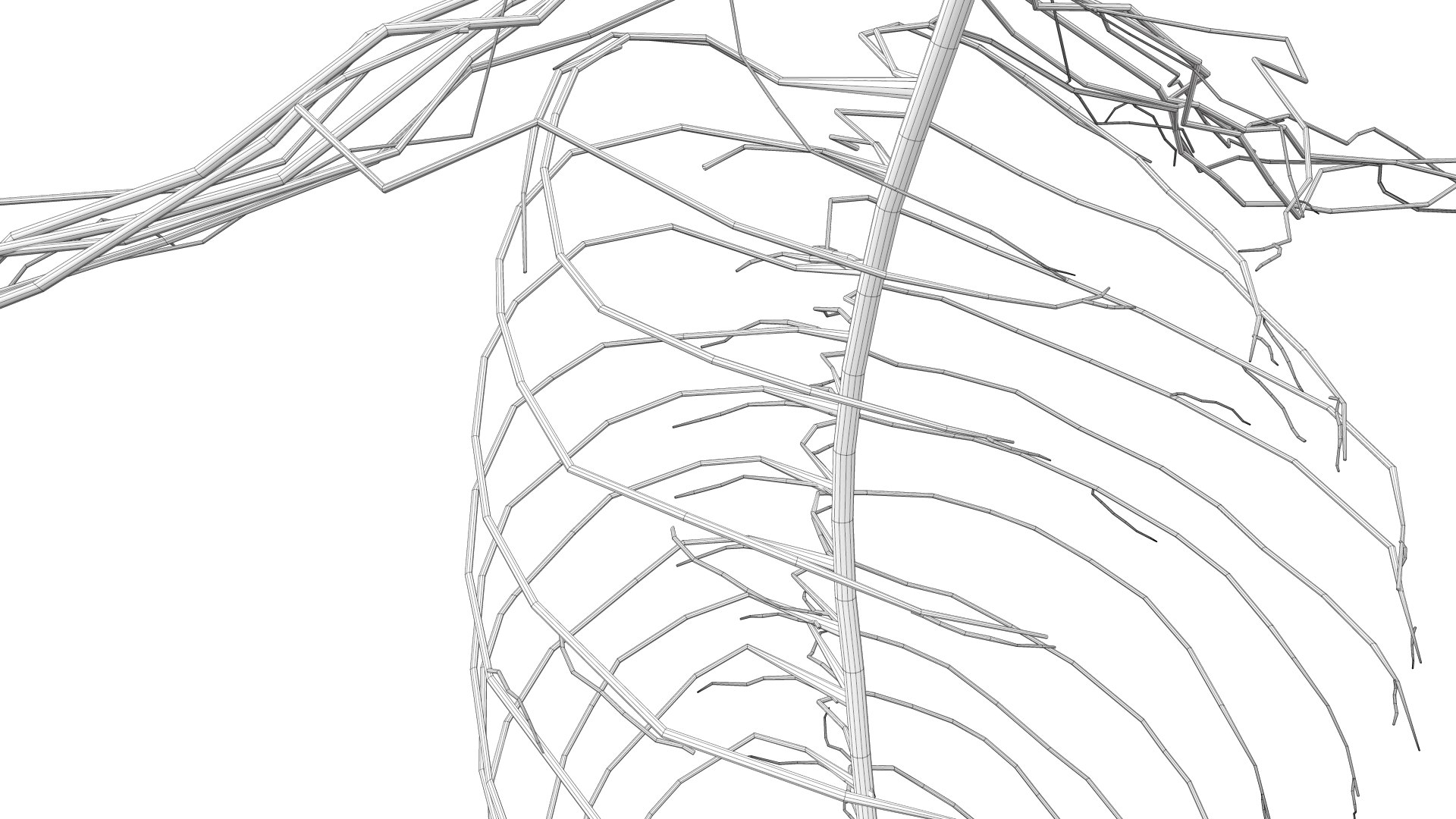 3D Human Nerves - TurboSquid 2172894