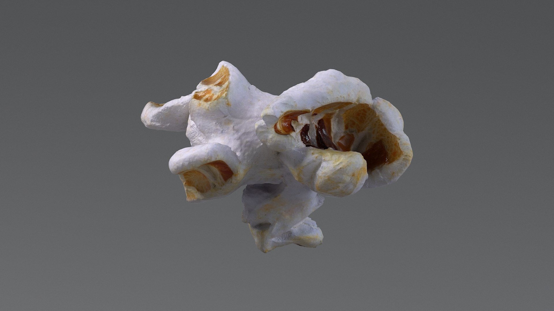 Realistic Popcorn Collection model - TurboSquid 1830917