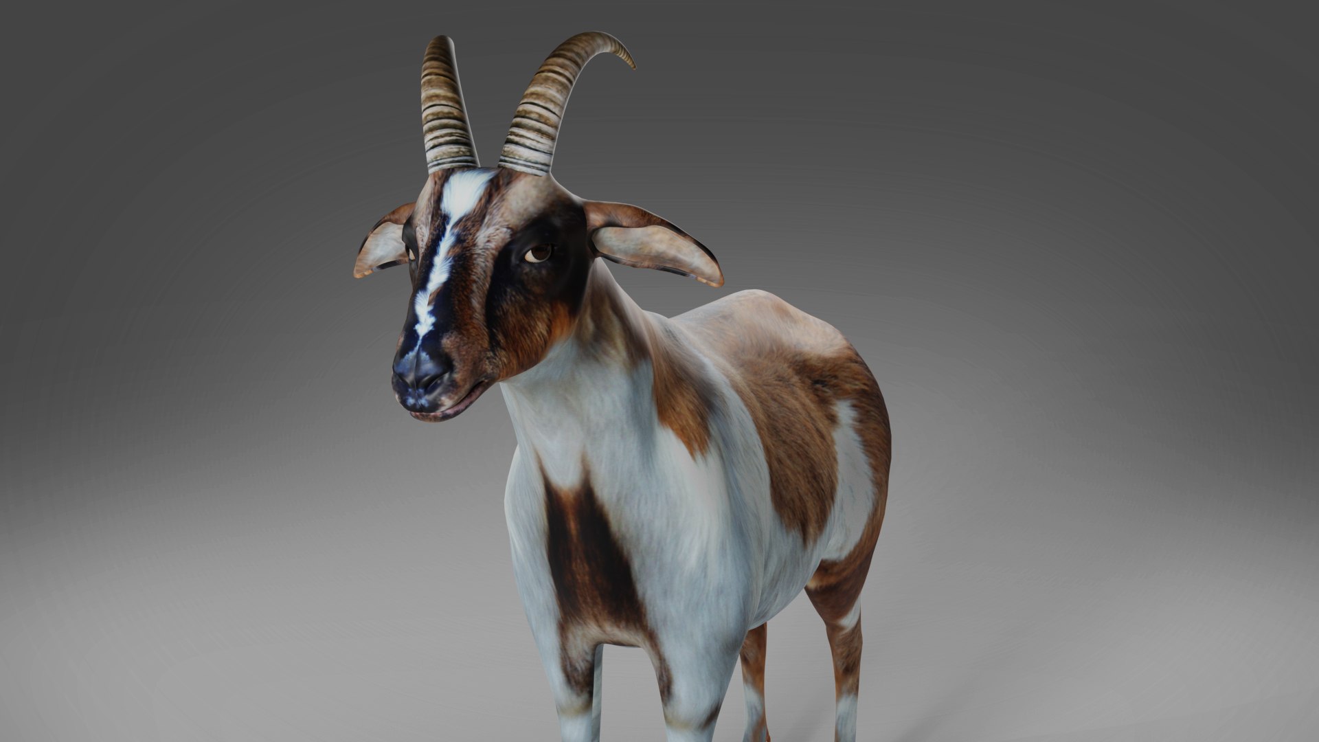 3D Goat 01 Rigged And Animation - TurboSquid 2009997