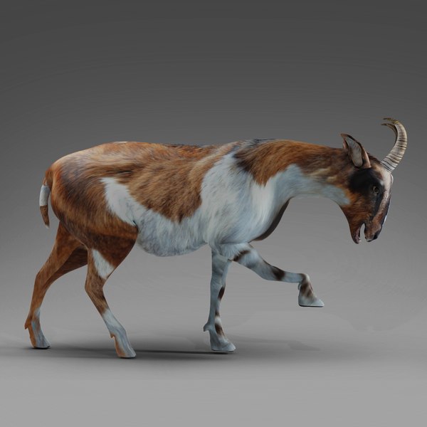 Animated Goat 3D Models for Download | TurboSquid