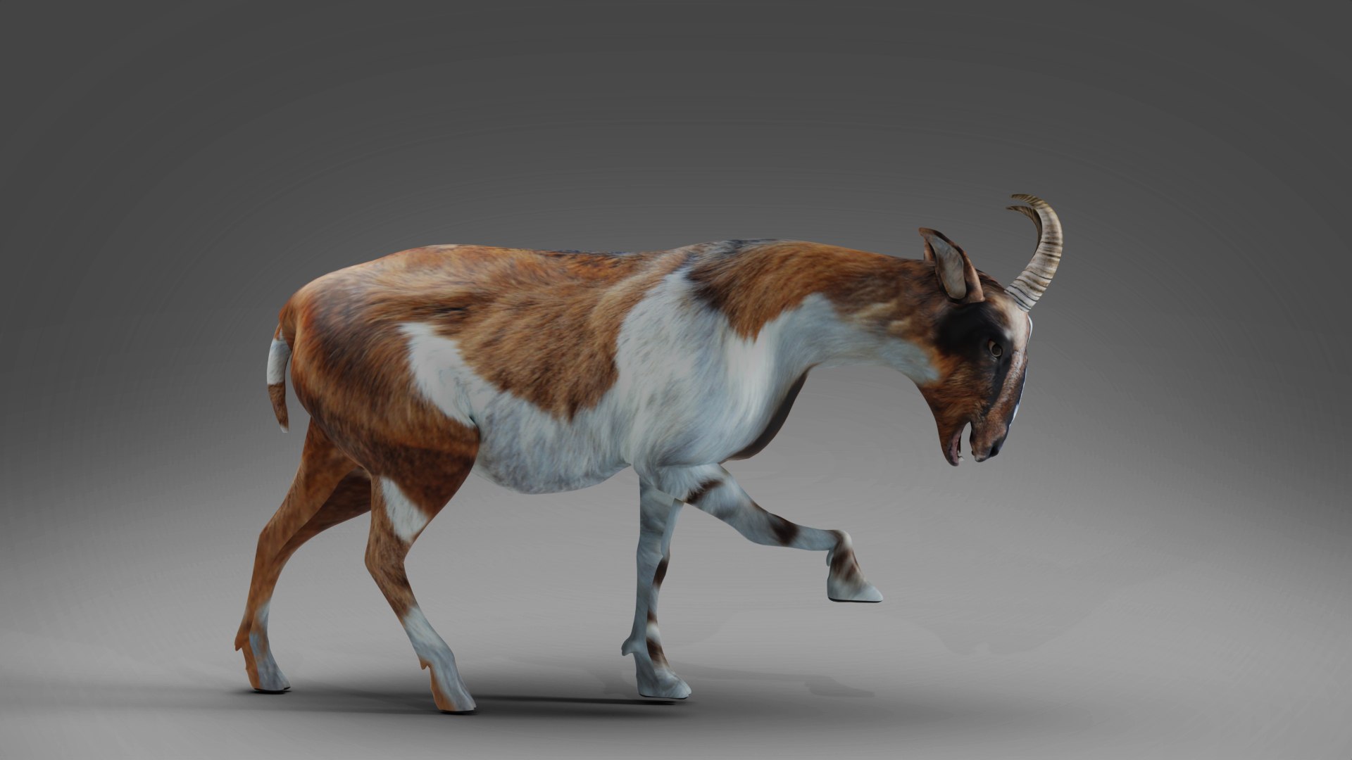 3D Goat 01 Rigged And Animation - TurboSquid 2009997