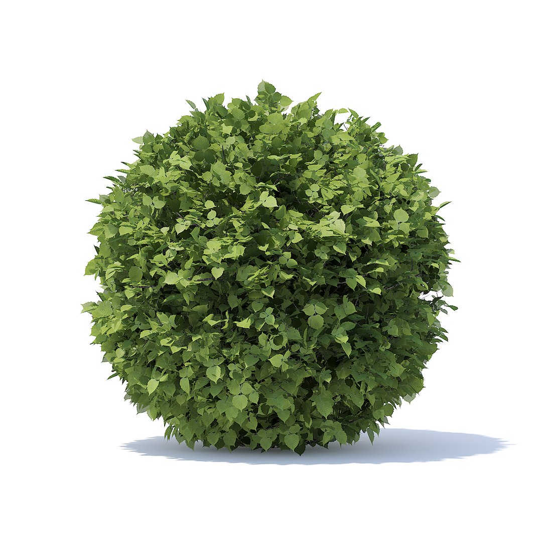 3D spherical hedge model - TurboSquid 1220820