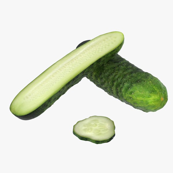 3D cucumber slice model - TurboSquid 1220513