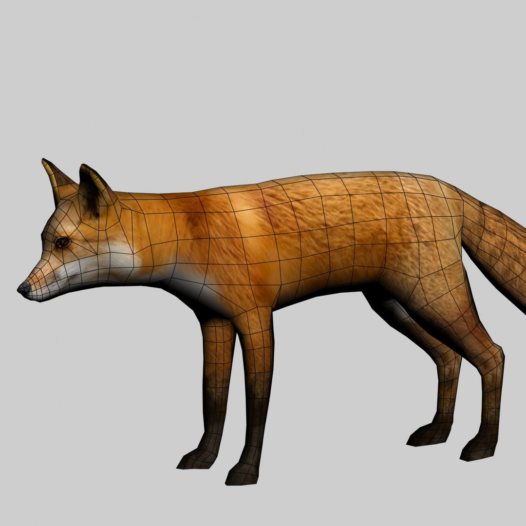 3D Model Fox - TurboSquid 1395052