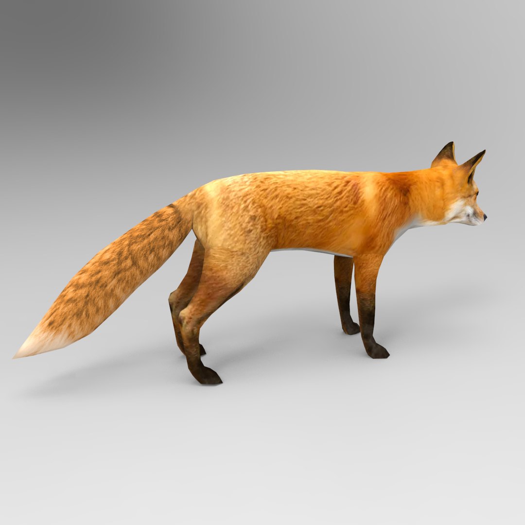 3D Model Fox - TurboSquid 1395052