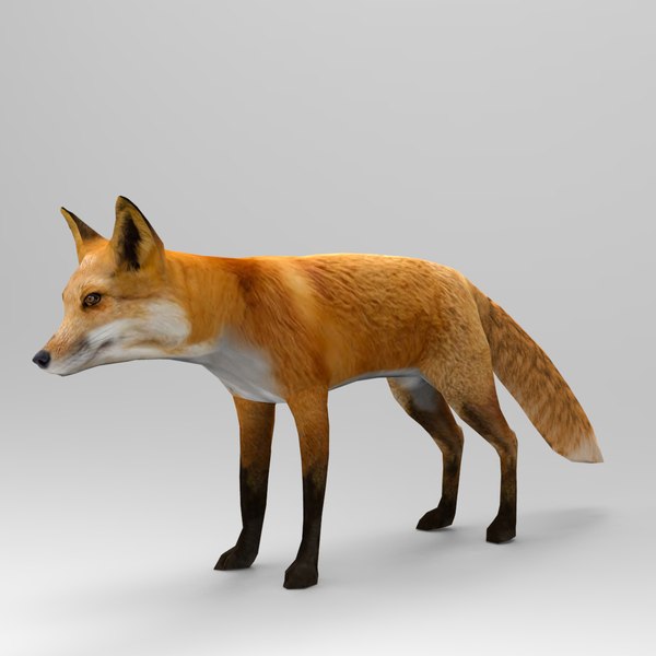 3D model fox - TurboSquid 1395052
