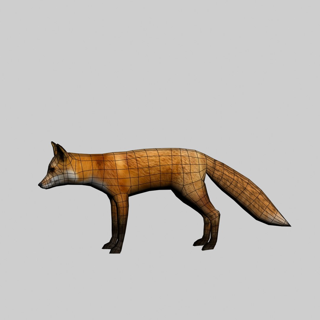 3D Model Fox - TurboSquid 1395052