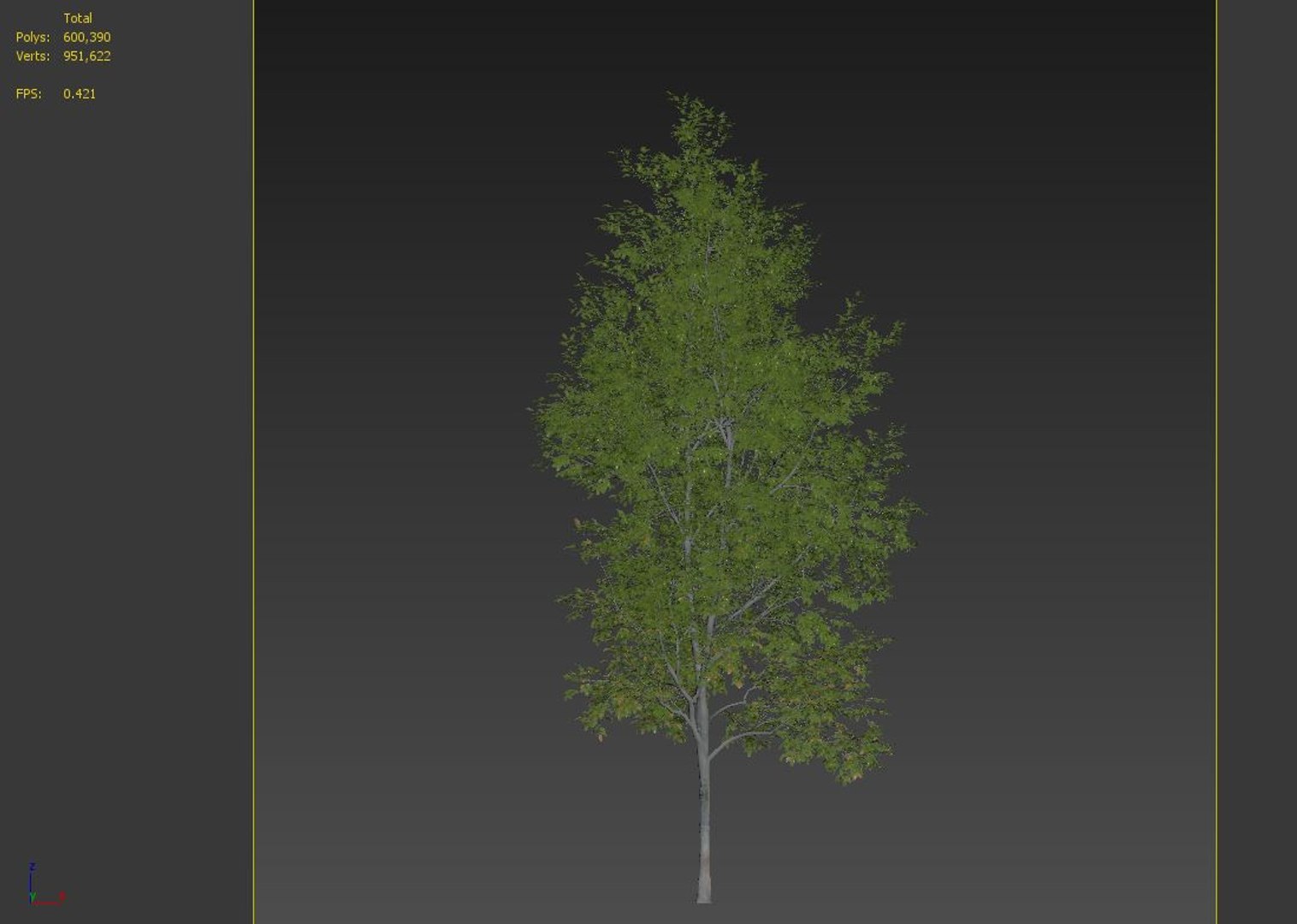 3D American Beech 4 - TurboSquid 1949441