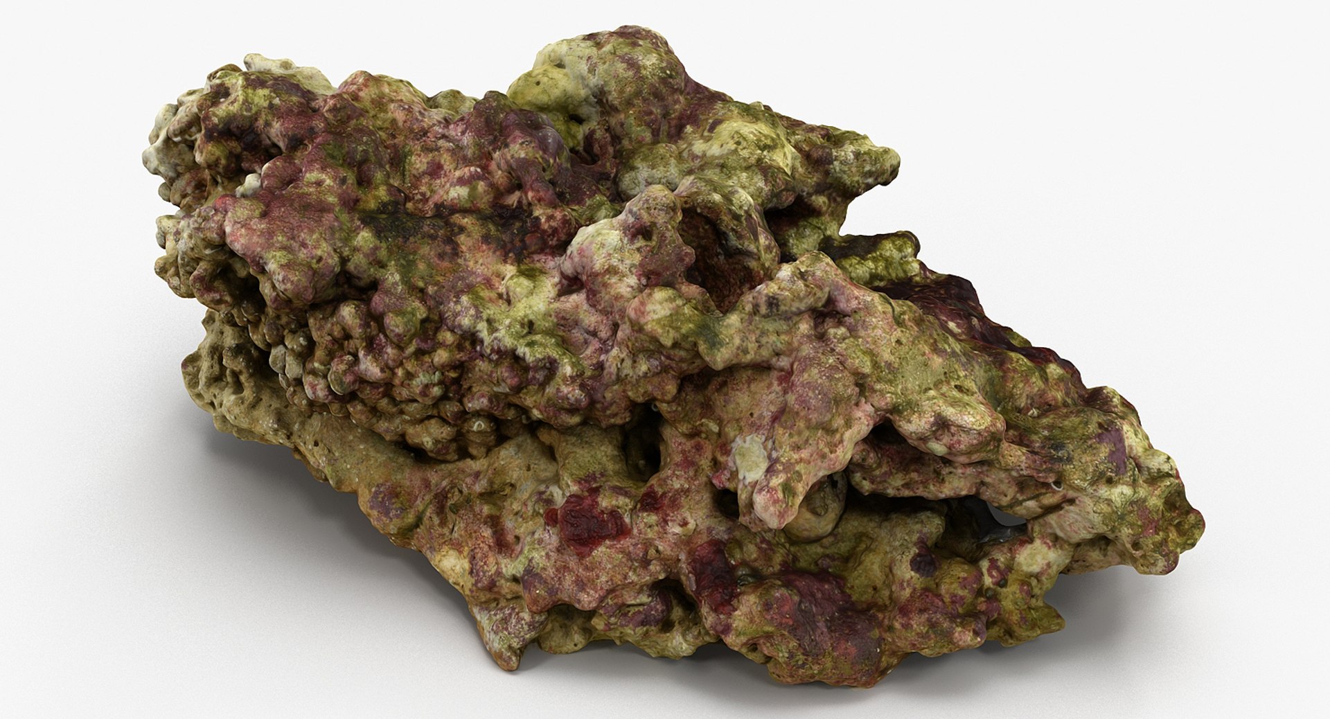 Reef Rock 3d Model