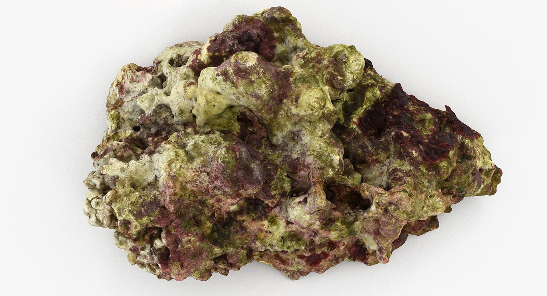 Reef Rock 3d Model
