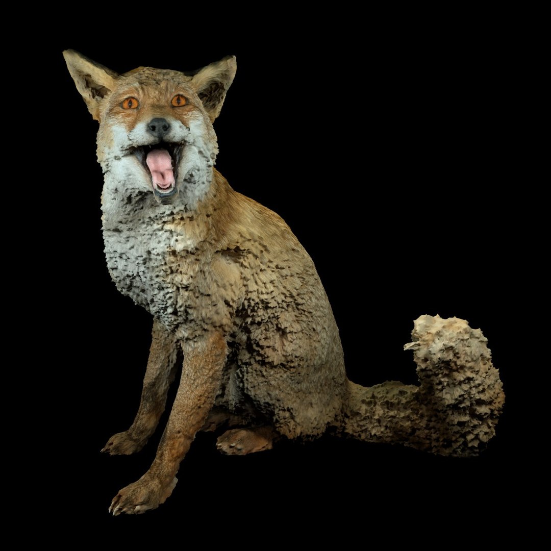 Animal Scanned Unity Model - TurboSquid 1171934