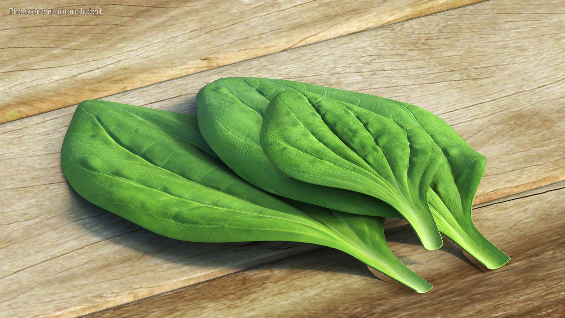 Realistic Plantain Plant Leaves 3D - TurboSquid 2223358