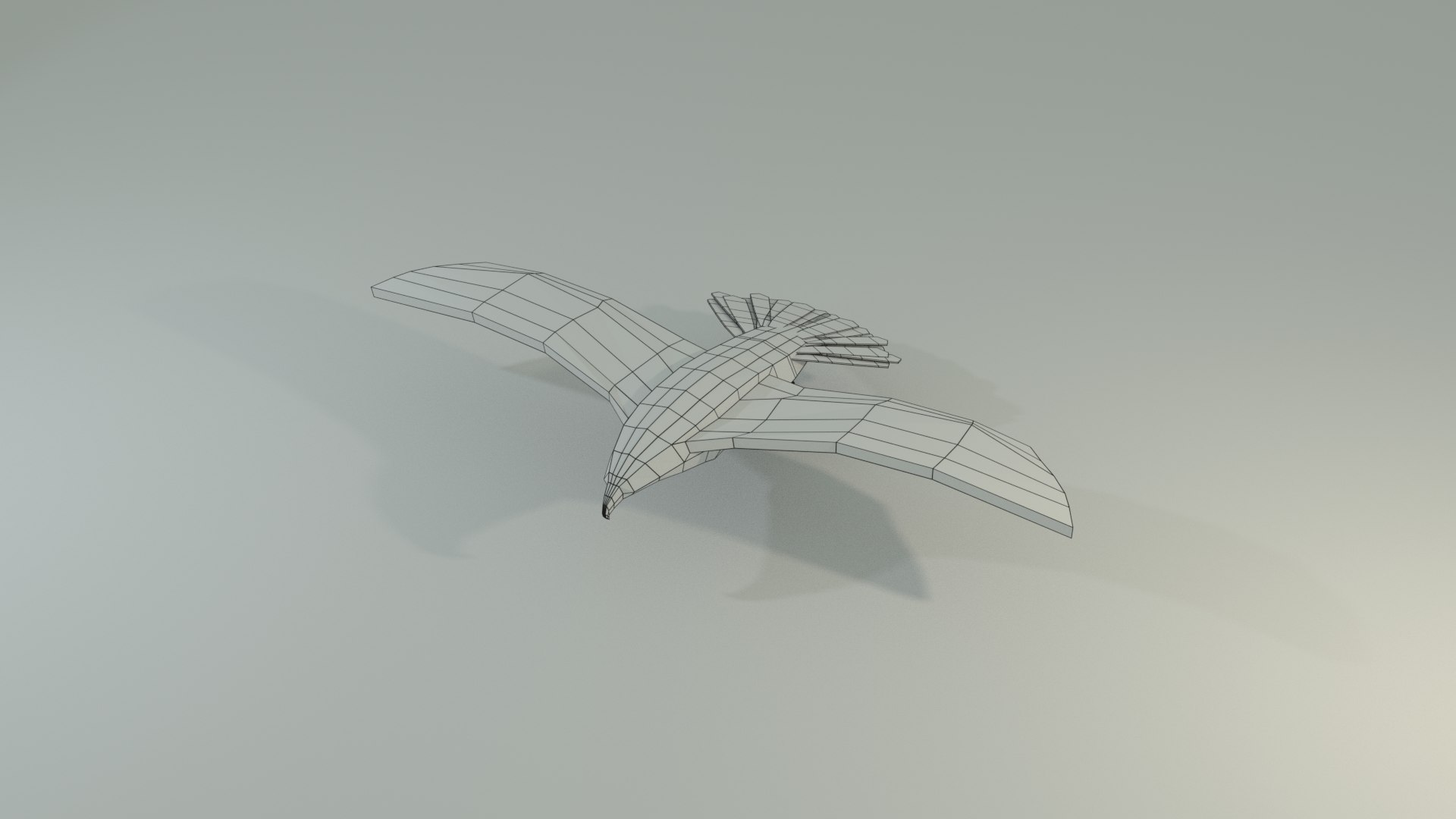 Low Poly Eagle Model - TurboSquid 1990270