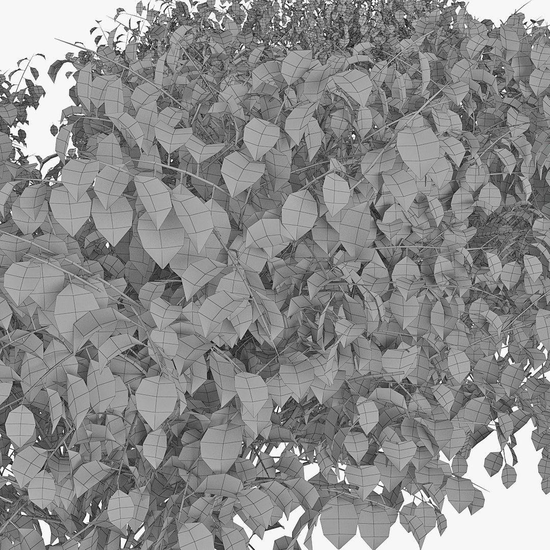 Hedgerow Hedge Plant 3D Model - TurboSquid 1505709