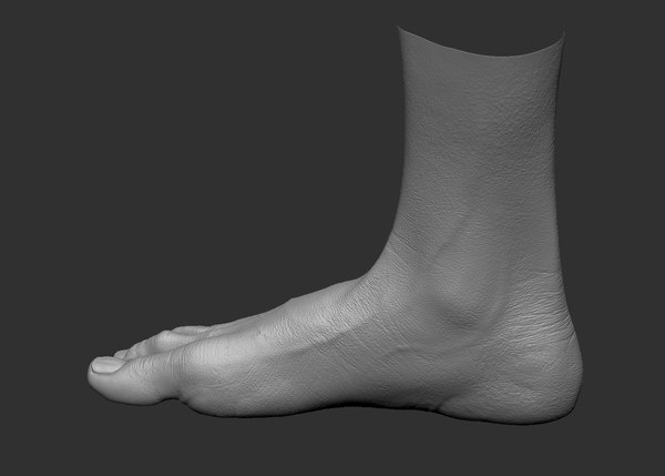 Foot realistic 3D model - TurboSquid 1693733